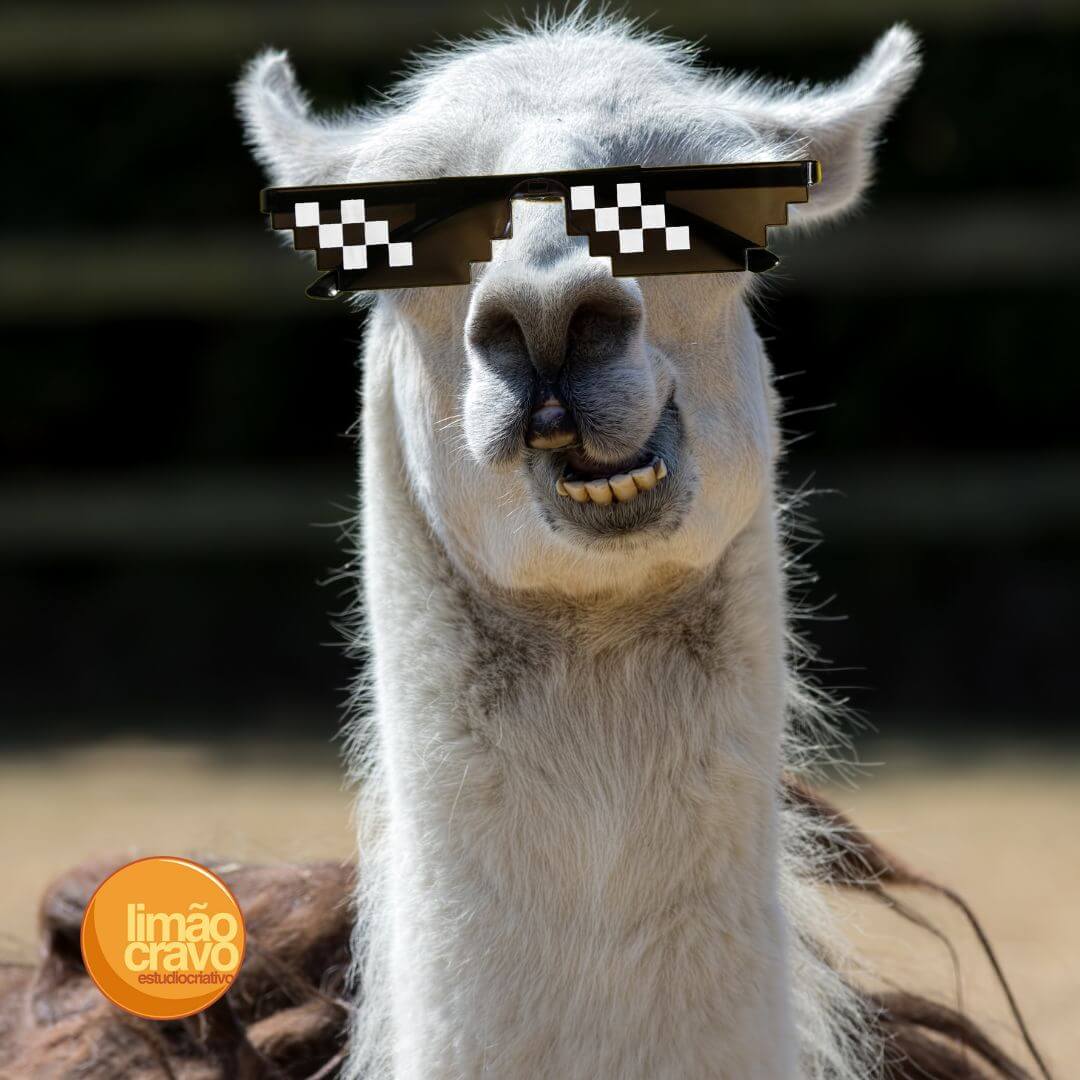 Memes: usar ou não? – Nosso Blog